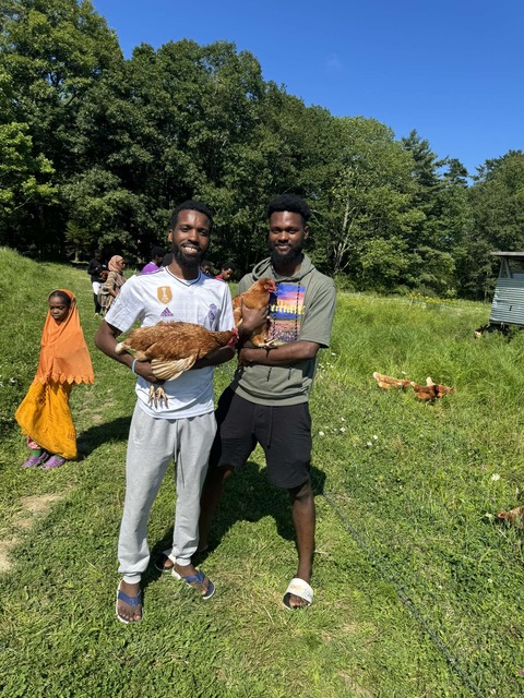 Looking back, looking ahead at New Roots Farm - Amjambo Africa